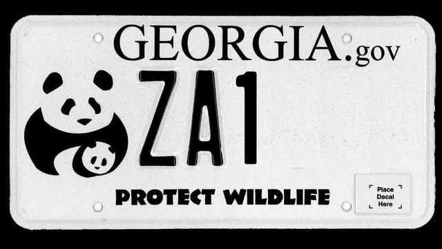 Bidding For Zoo Atlanta License Plate Tops $1,200 | WSB-TV