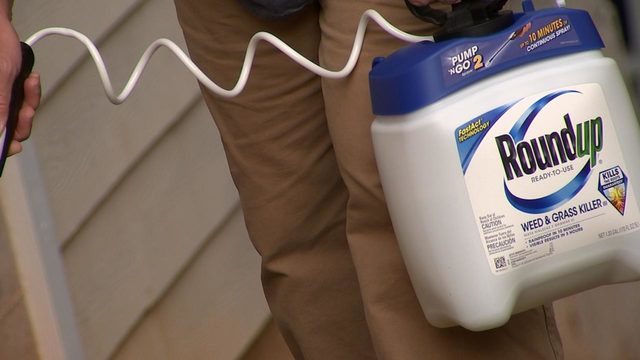 ROUNDUP: Does Roundup kill more than just weeds? Lawsuits claim it also ...