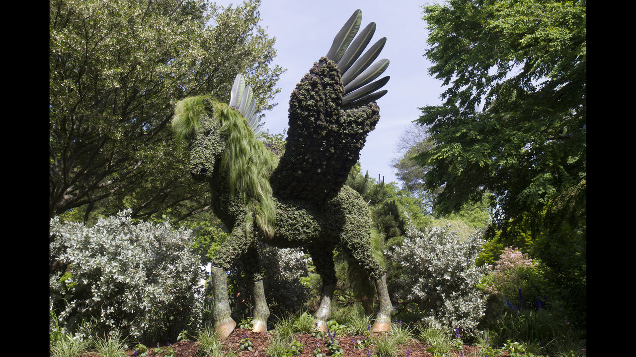 Imaginary Worlds brings dragon, mermaid to Botanical Garden | WSB-TV