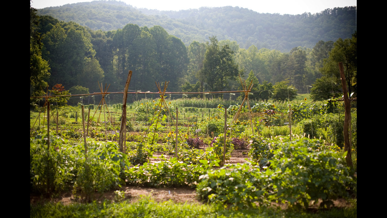 BLACKBERRY FARM: Named top resort in South | WSB-TV | WSB-TV