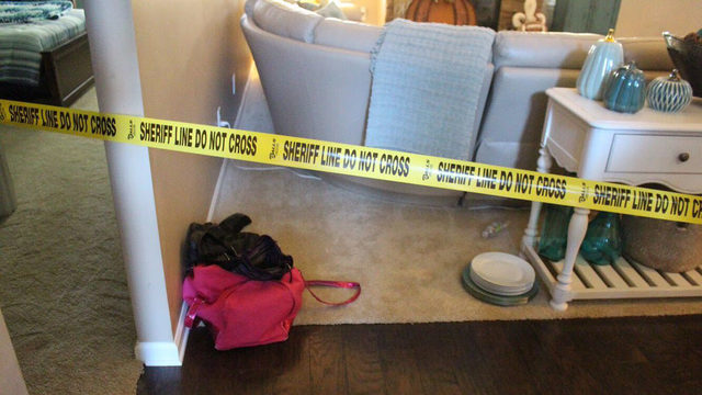 TAMLA HORSFORD DEATH: Case file reveals never before seen photos in ...